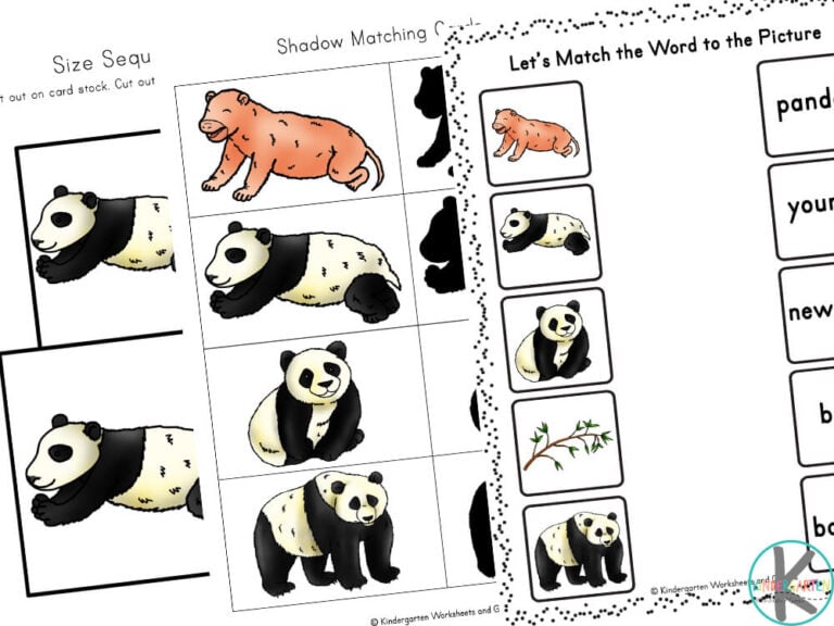 🐼 Free Printable Panda Worksheets (w/ Life Cycle and Coloring Pages)