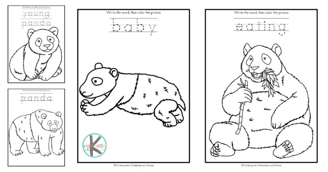 🐼 Free Printable Panda Worksheets (w/ Life Cycle and Coloring Pages)