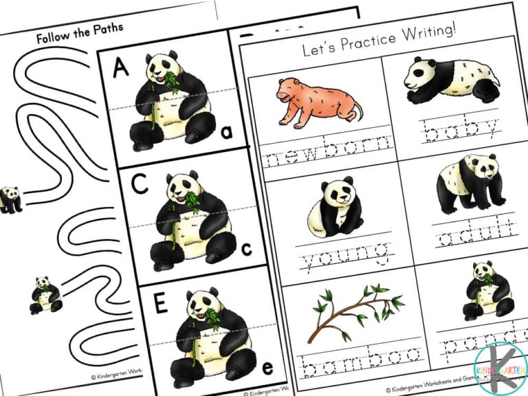 🐼 Free Printable Panda Worksheets (w/ Life Cycle and Coloring Pages)