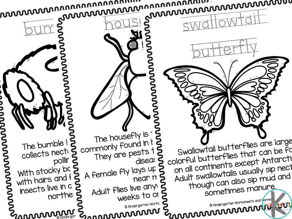 🦗 FREE Insects Coloring Pages for Kids - Read Color and Learn