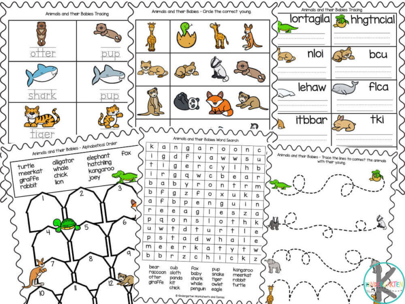 Matching animals and their babies writing worksheet - qckool