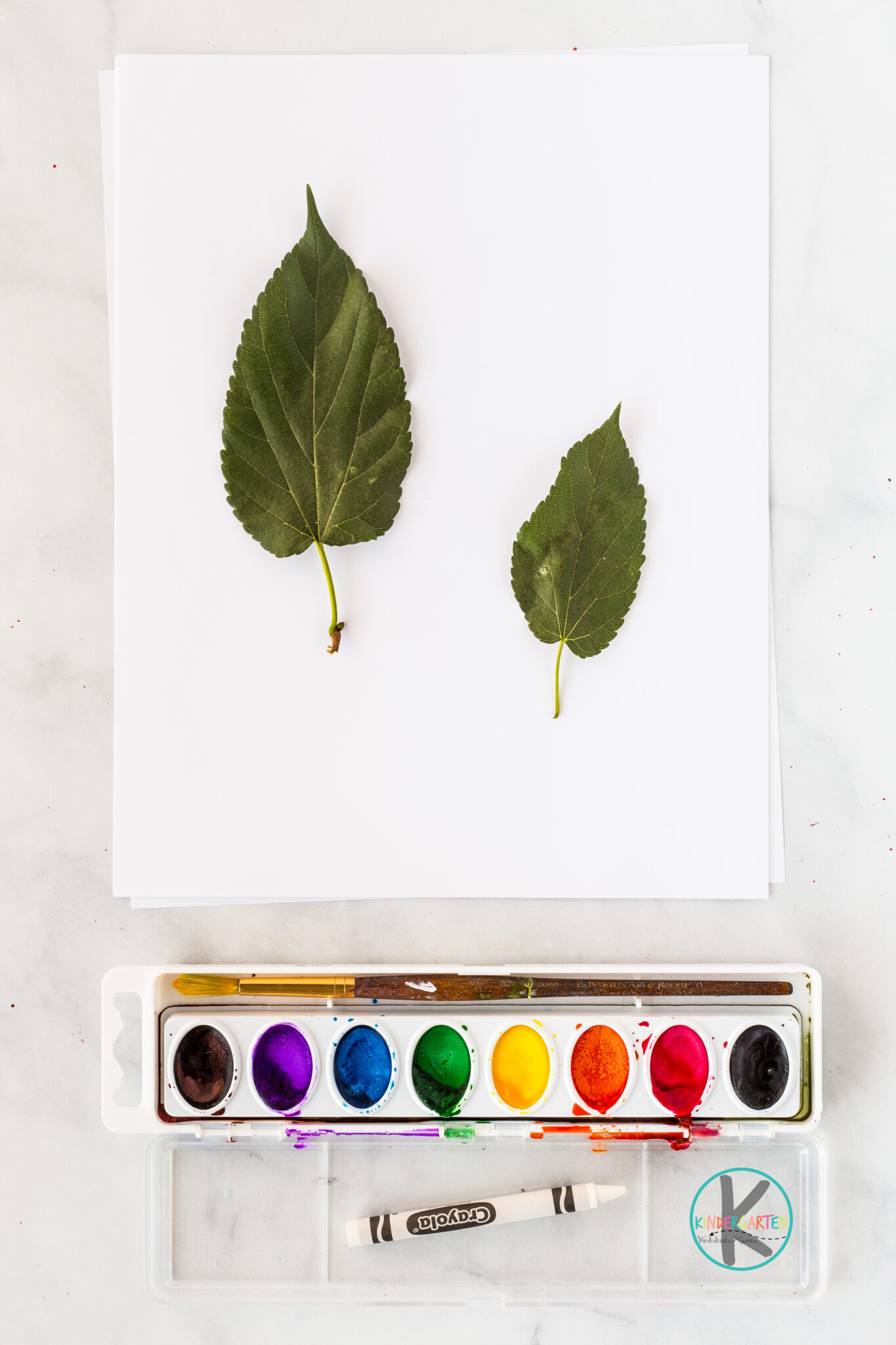 🍂 STUNNING Crayon Resist Fall Leaf Art for kids Craft for Kids