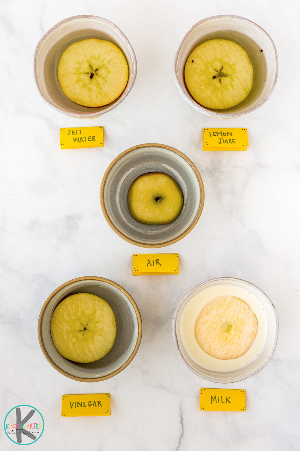 🍏 Apple Browning Science Experiment with FREE Oxidation Worksheet