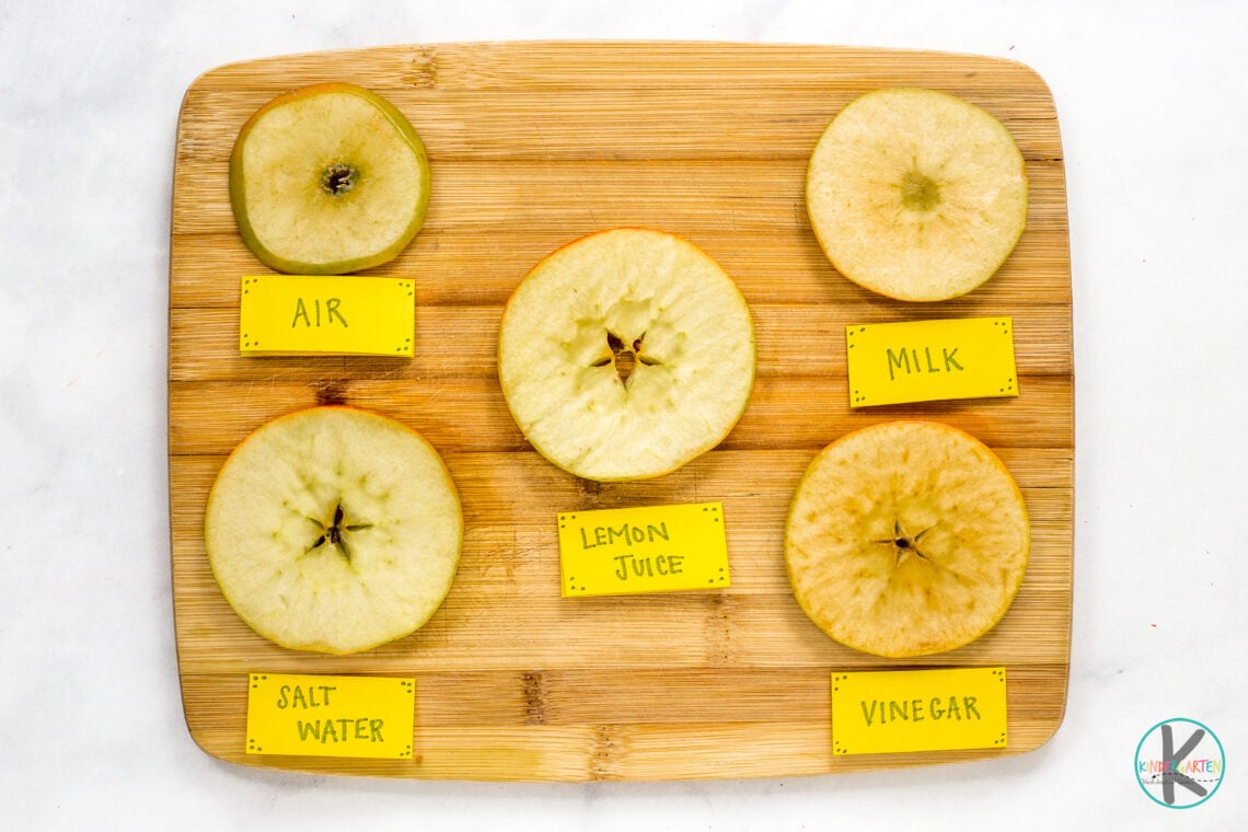 🍏 Apple Browning Science Experiment with FREE Oxidation Worksheet