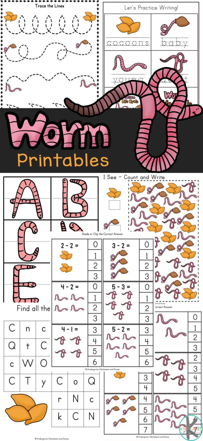 Free Worm Worksheet Printables