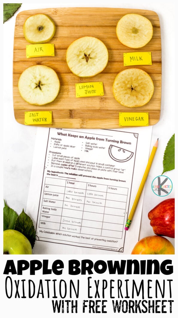FREE Printable Fruit Worksheets for Kindergarten