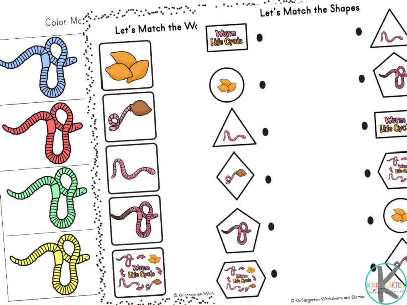 Free Worm Worksheet Printables