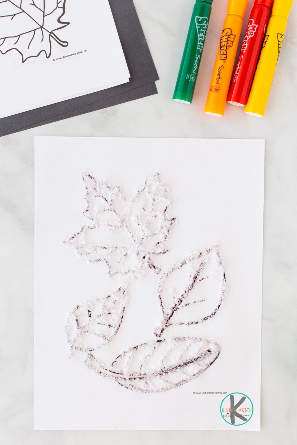 🍁 Autumn Leaf Watercolor Salt Painting Craft