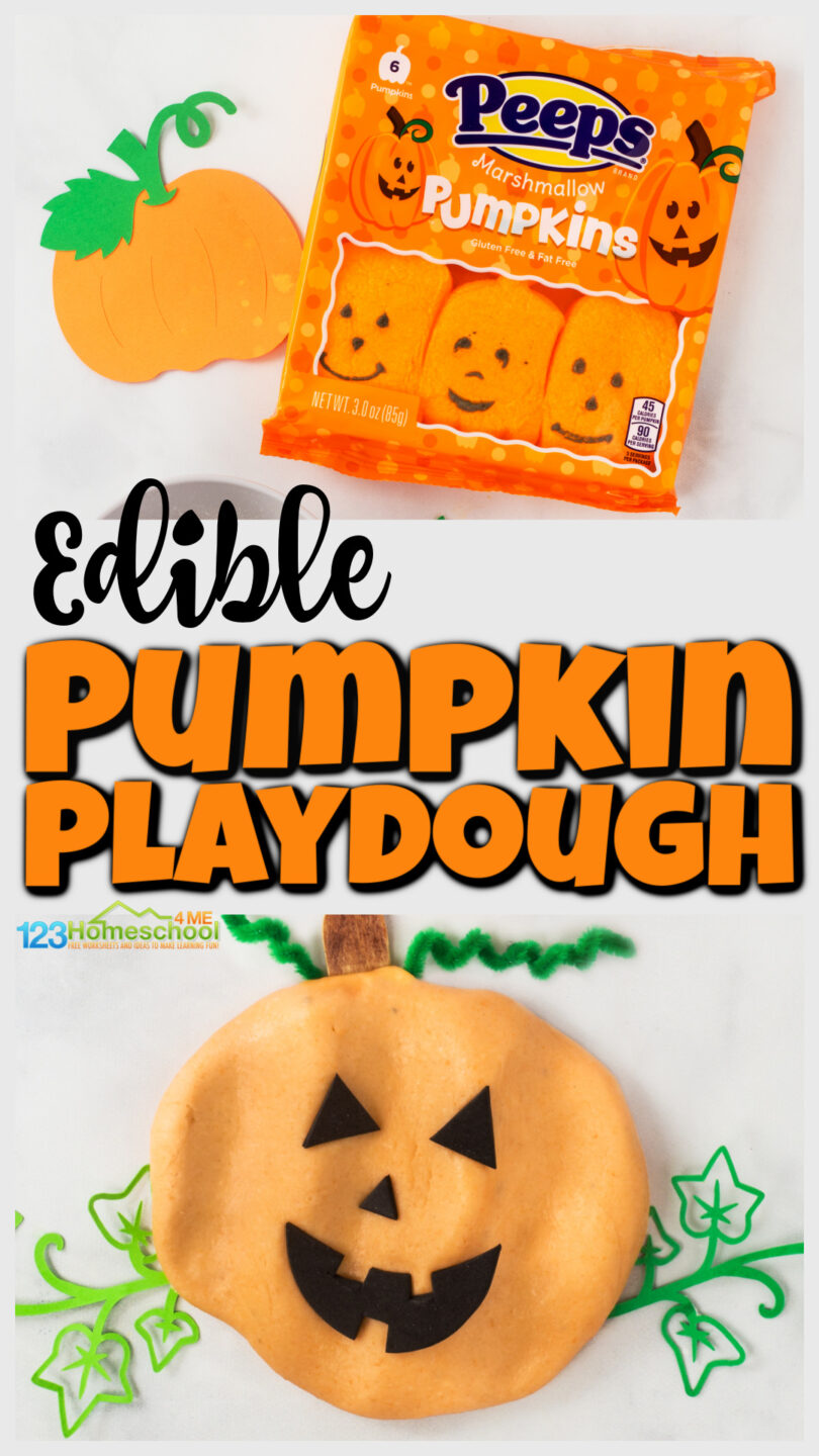 FREE Pumpkin Number Bonds to 10 Worksheet