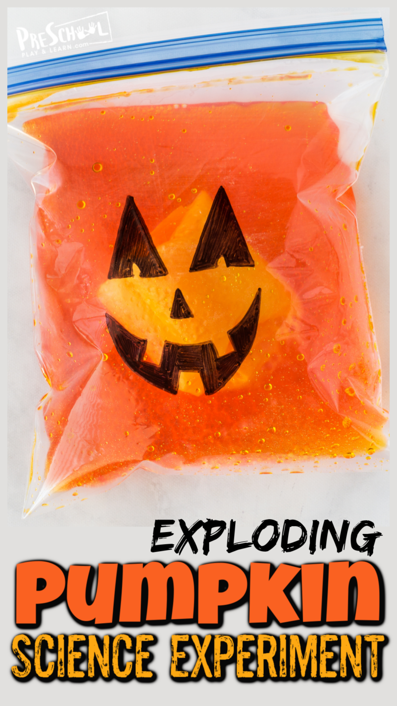 🎃 Halloween Count and Graph Printable Math Activity