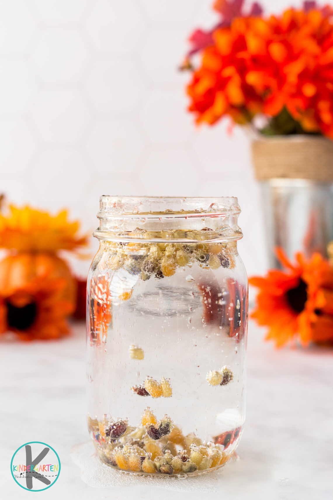 🍂 Dancing Corn Fall Thanskgiving Science Experiment for November