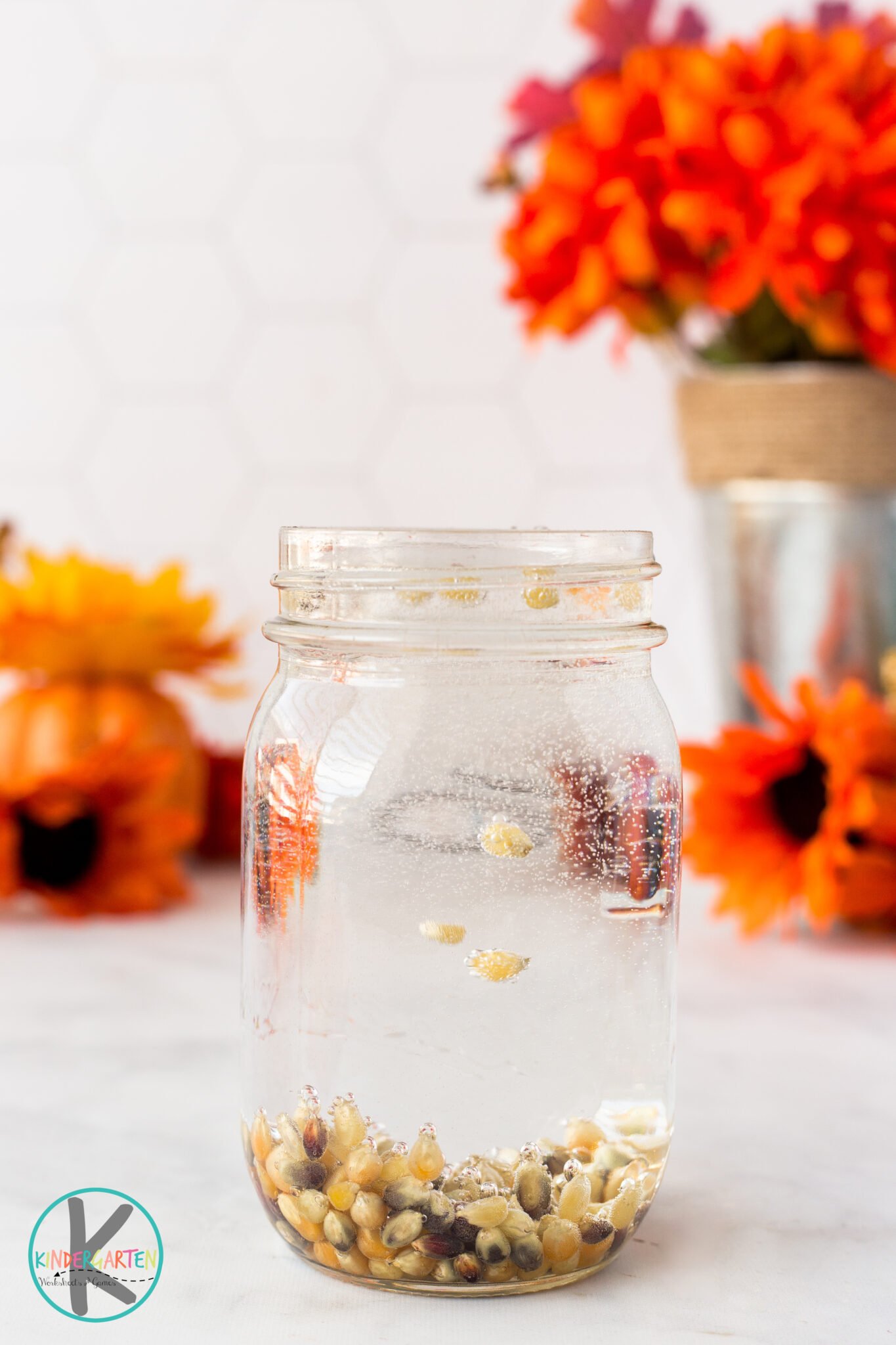 🍂 Dancing Corn Fall Thanskgiving Science Experiment for November