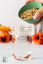 🍂 Dancing Corn Fall Thanskgiving Science Experiment for November