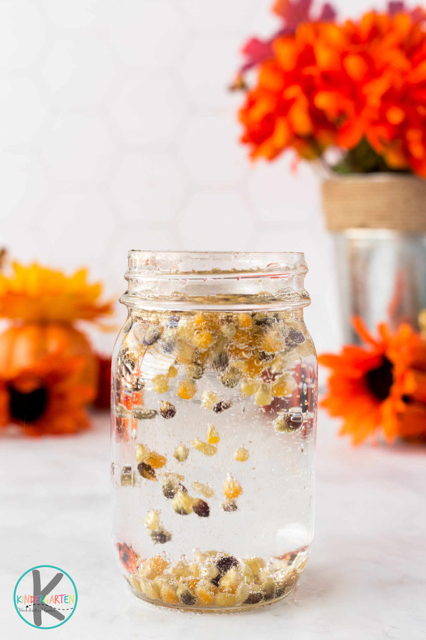 🍂 Dancing Corn Fall Thanskgiving Science Experiment for November