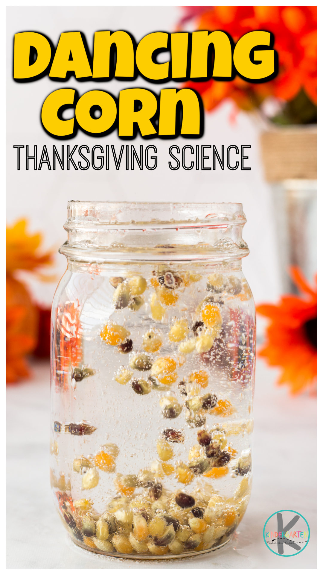 🍂 Dancing Corn Fall Thanskgiving Science Experiment for November