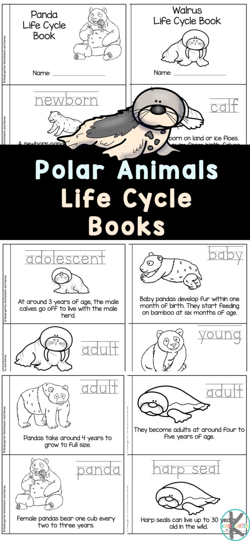 FREE Mammal Animals for Kids Life Cycle Printable Books