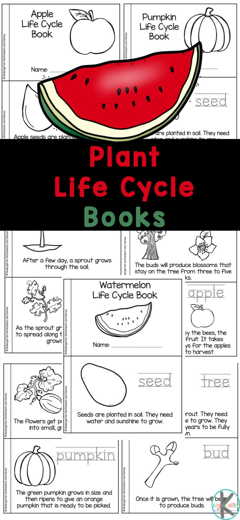 🍎🍉🎃 FREE Printable Plant Life Cycle for Kids Reader