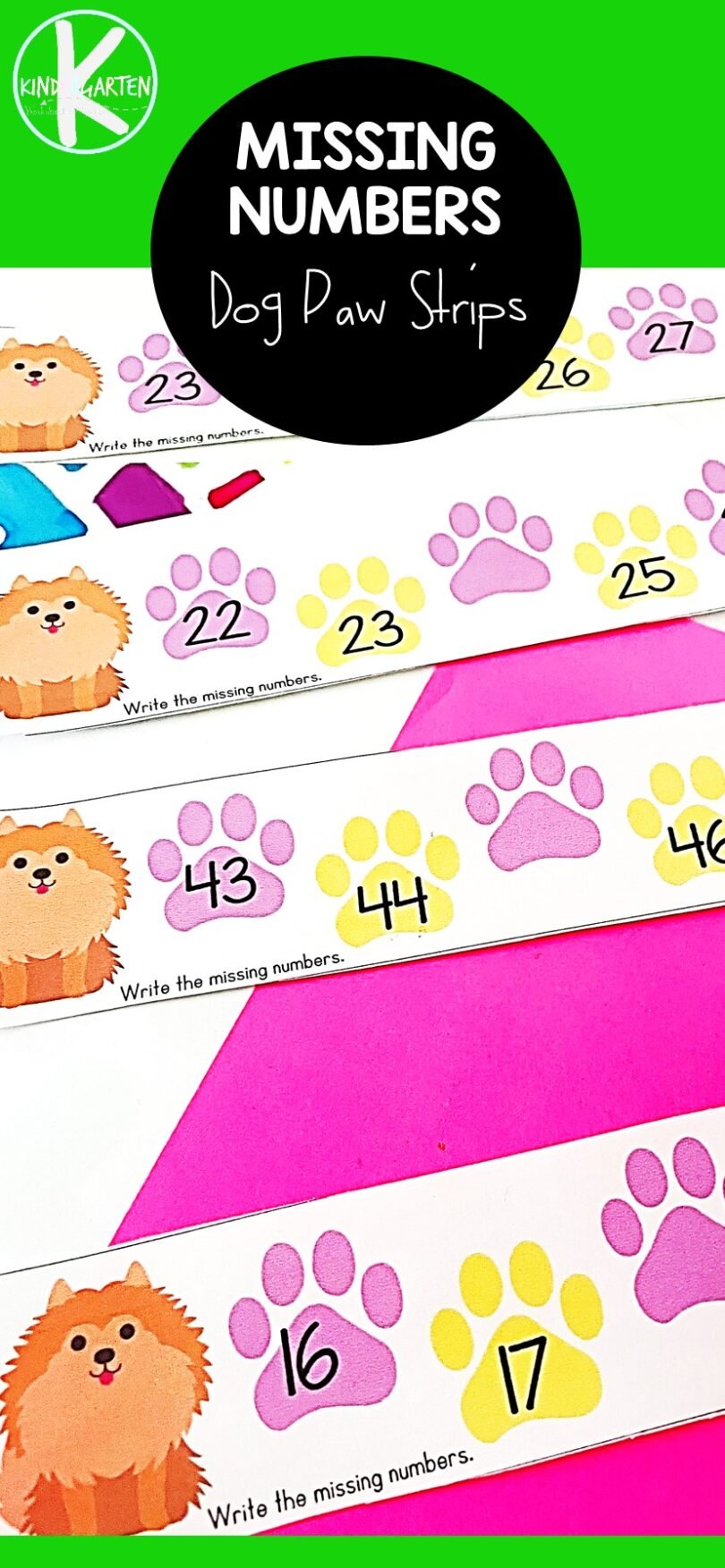 🐶 Dog Kindergarten Missing Number Activity