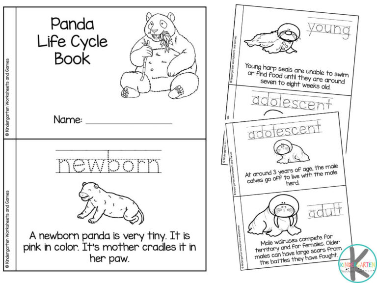 FREE Mammal Animals for Kids Life Cycle Printable Books
