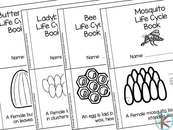 🐞🐝🦋🦟 FREE Printable Insect Life Cycle Mini-Book