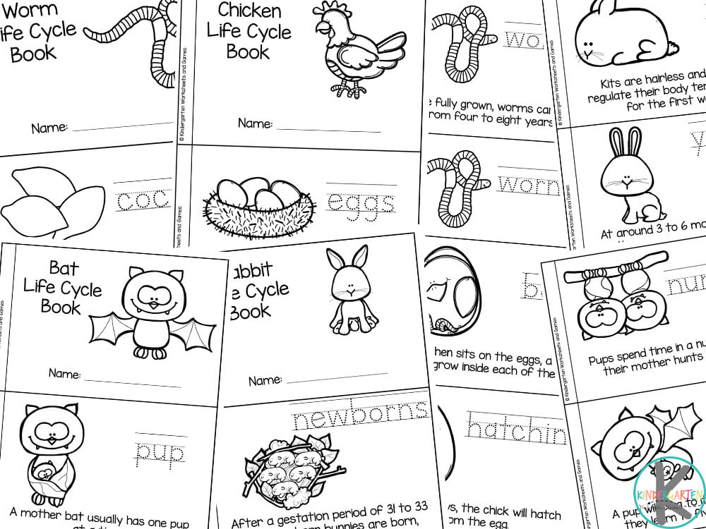FREE Farm Animal Life Cycles Printable Readers For Kids free-farm-animal-life-cycles-printable-readers-for-kids