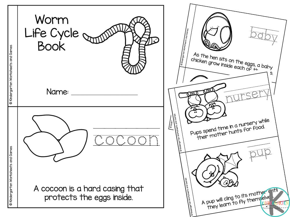 🐰🦇🐔 FREE Farm Animal Life Cycles Printable Readers for Kids