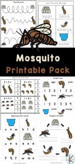🐞🐝🦋🦟 FREE Printable Insect Life Cycle Mini-Book