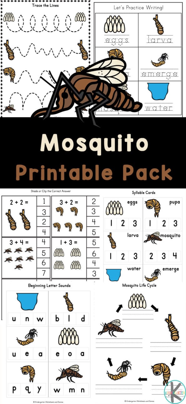 FREE Ant Life Cycle for Kids Printable Worksheets