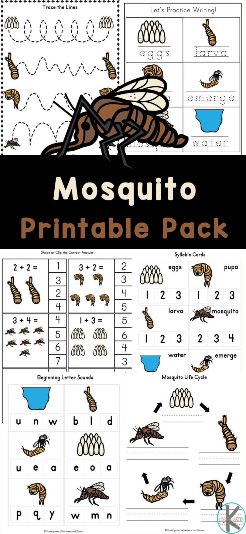 🐞 FREE Printable Bug Counting to 30 Worksheets and Activities
