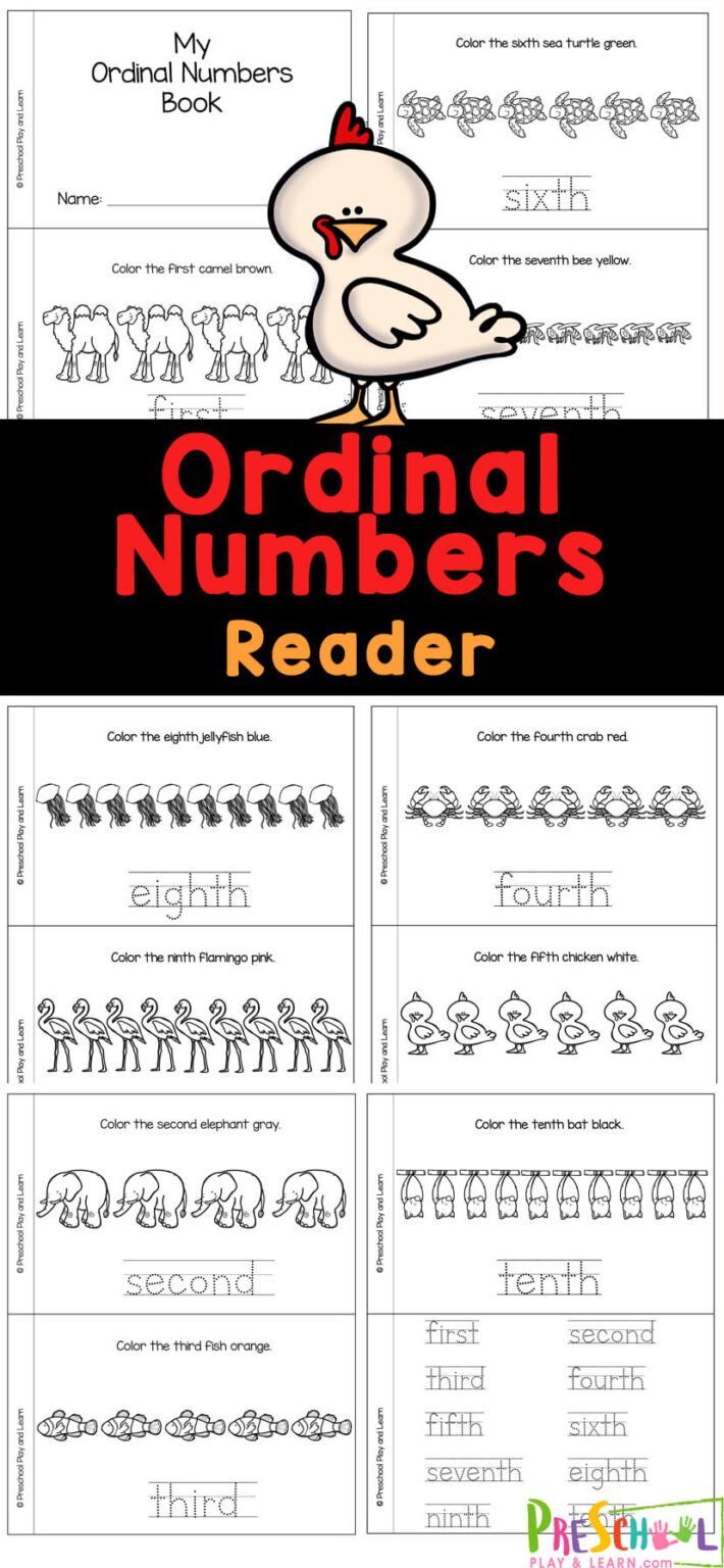 FREE Printable Ordinal Number Worksheets for Kindergarten