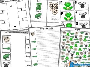 🐸 FREE Printable Frog Life Cycle Worksheets