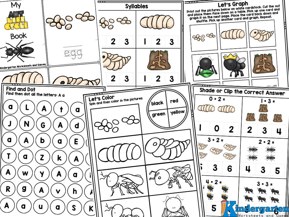 FREE Ant Life Cycle for Kids Printable Worksheets