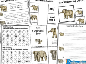 🐘 FREE Printable Elephant Life Cycle Worksheets