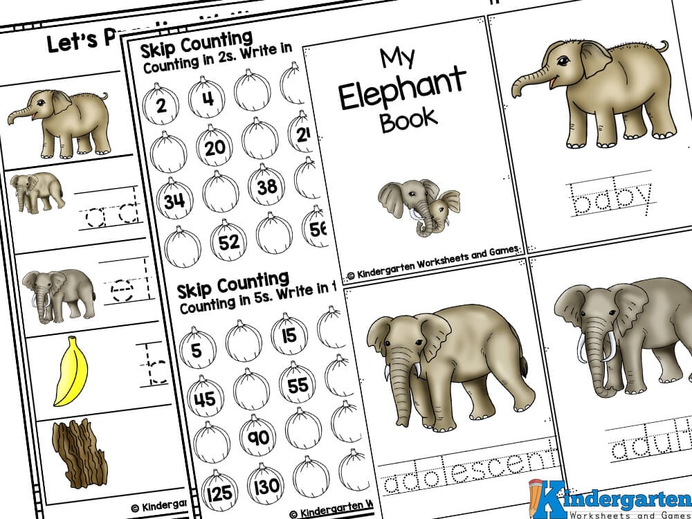 🐘 FREE Printable Elephant Life Cycle Worksheets
