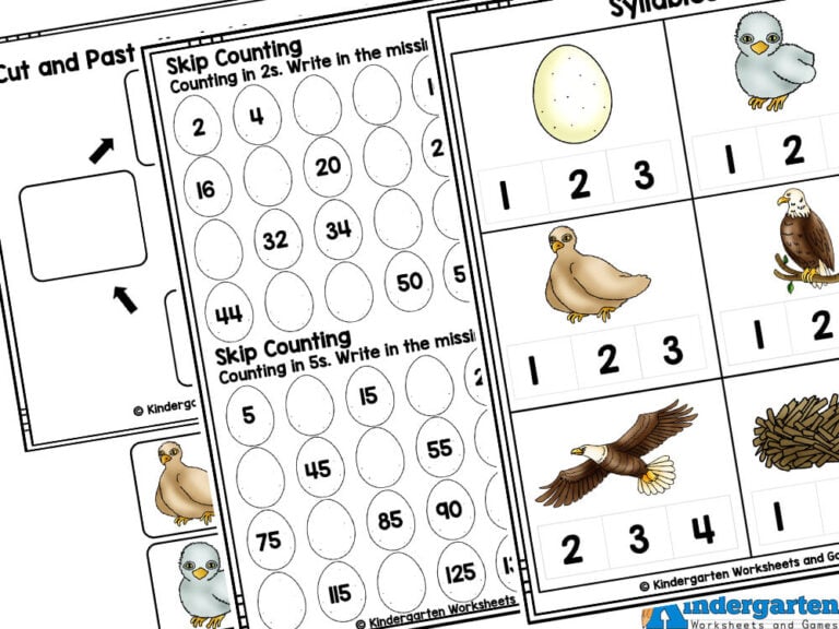 🦅 Bald Eagle Life Cycle Worksheets