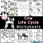 🐮 FREE Printable Life Cycle of a Cow Worksheets for Pre-k / Kindergarten