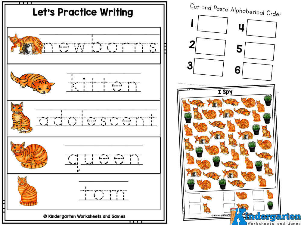 FREE Printable Cat Life Cycle Worksheets for Pre-k and Kindergarten Kids