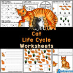 FREE Printable Cat Life Cycle Worksheets for Pre-k and Kindergarten Kids