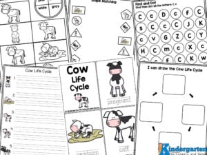 🐮 FREE Printable Life Cycle of a Cow Worksheets for Pre-k / Kindergarten