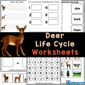 🦌 FREE Printable Deer Life Cycle Worksheets
