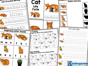 FREE Printable Cat Life Cycle Worksheets for Pre-k and Kindergarten Kids