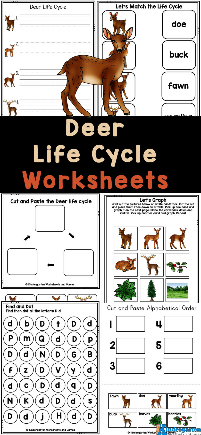 FREE Printable Sloth Life Cycle Worksheets for Kids