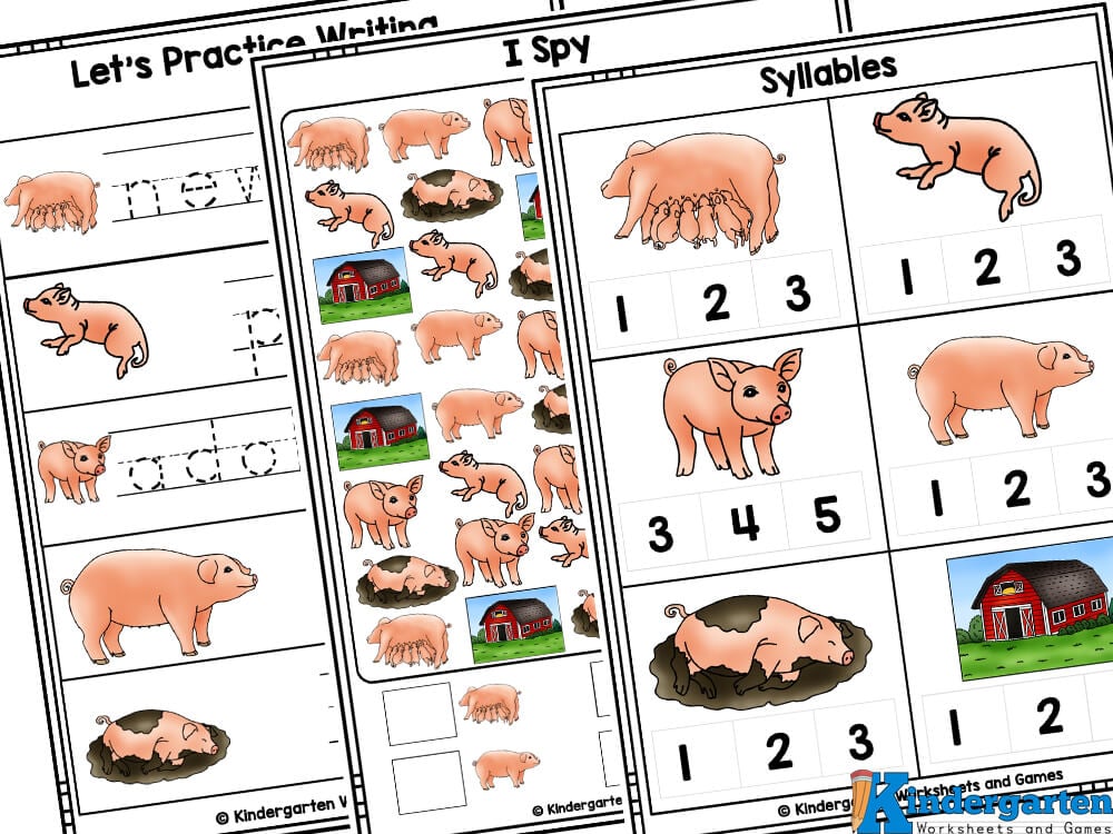 🐷 FREE Printable Life Cycle of a Pig Worksheets for Kids