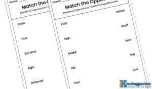 FREE Opposites Worksheets for Kindergarten