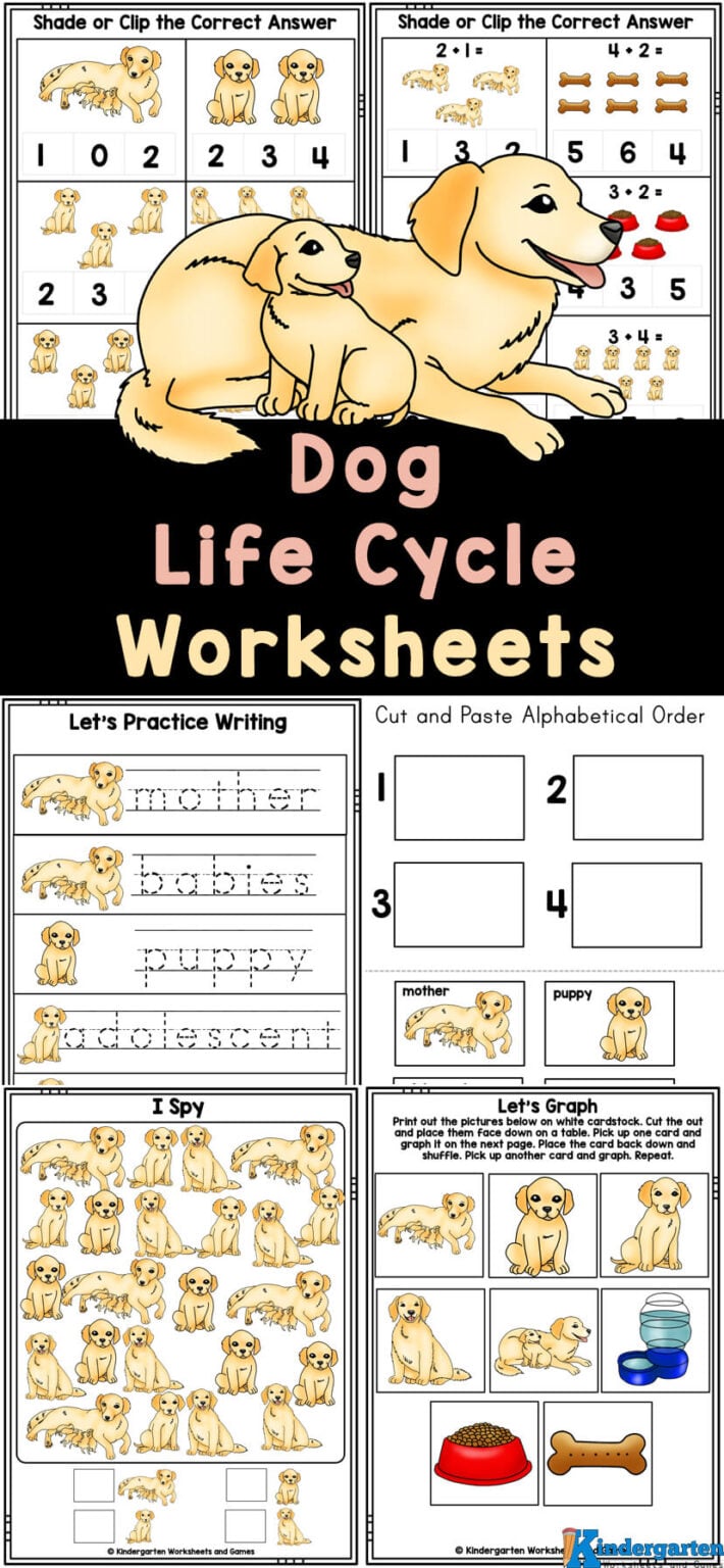 FREE Dog's Life Cycle Printable Worksheets