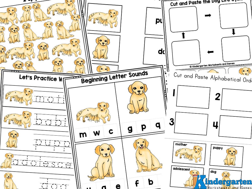 FREE Dog's Life Cycle Printable Worksheets
