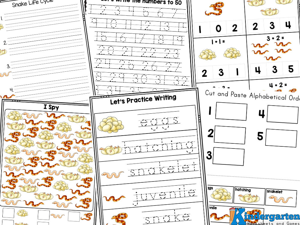 FREE Snake Life Cycle Printable Worksheets