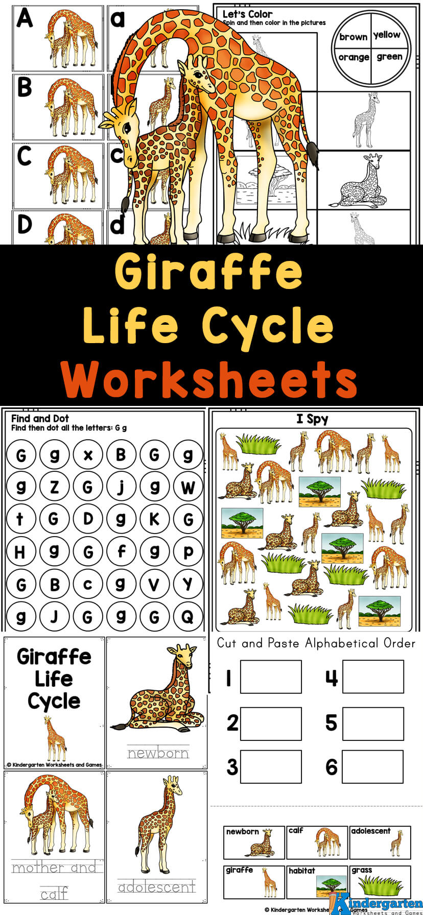 FREE Printable Cat Life Cycle Worksheets for Pre-k and Kindergarten Kids