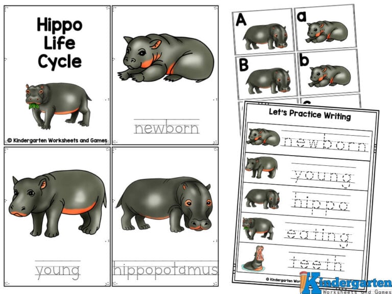 🦛 FREE Life Cycle of a Hippo Printable Worksheets