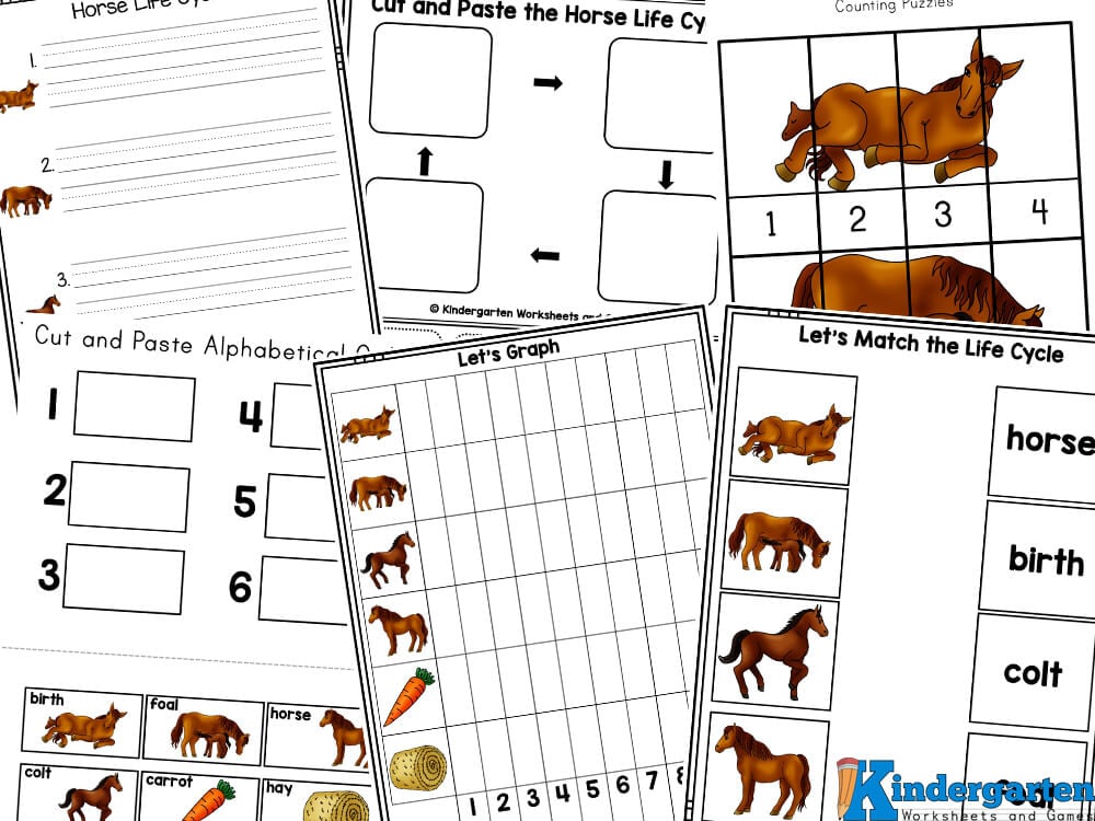 FREE Printable Horse Life Cycle Worksheets for Kids